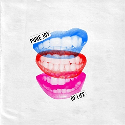 IDestroy – Pure joy of life EP – PlanetMosh