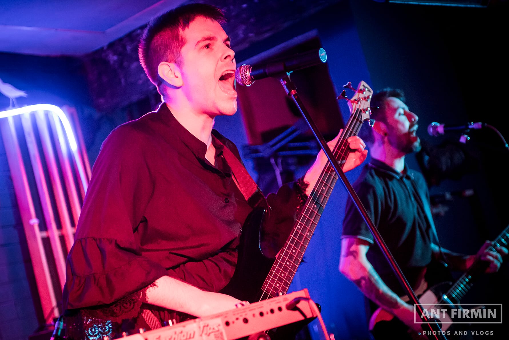 Bad Owl 100th Show Celebration, The Wharf Chambers Leeds, 29/6/24 ...